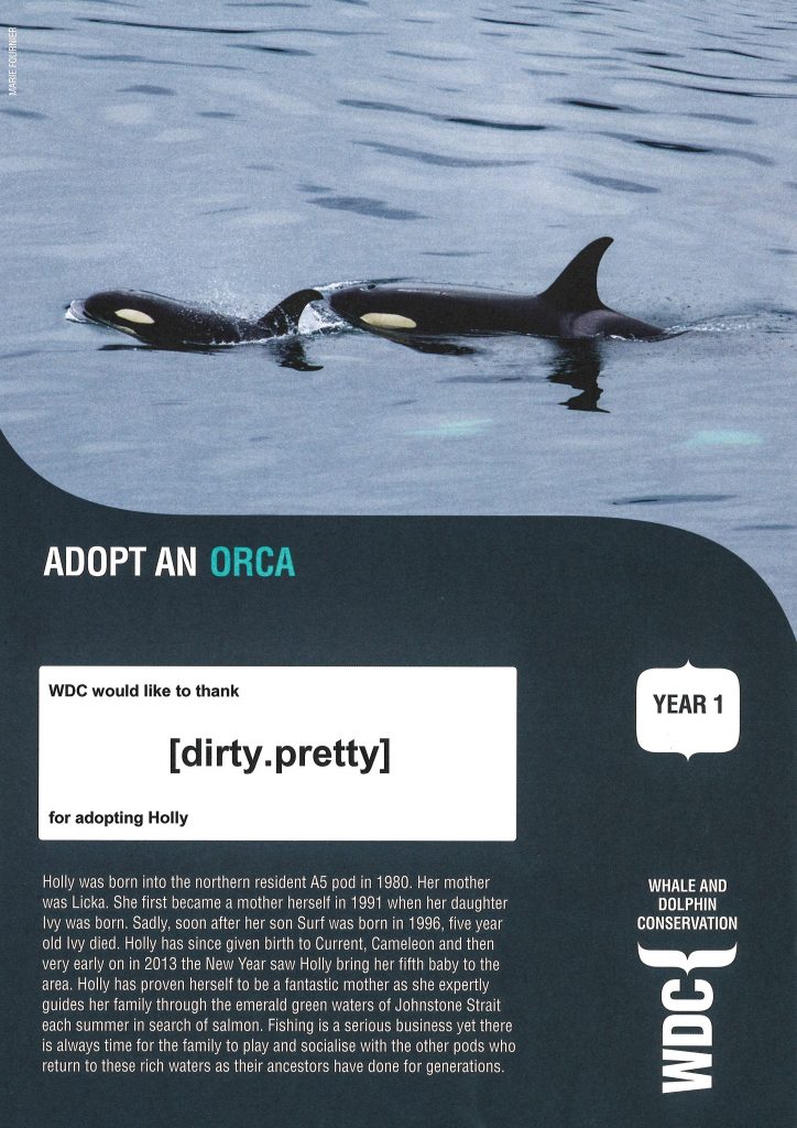 We’ve adopted an Orca! – dirty.pretty